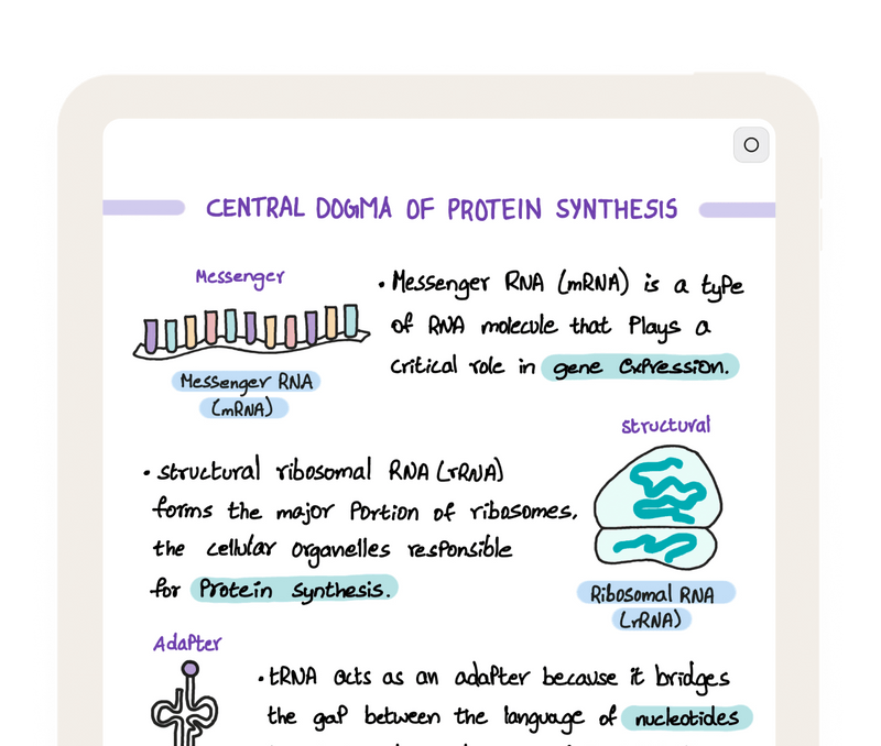 Noteshelf | Note-taking app | AI-powered handwriting